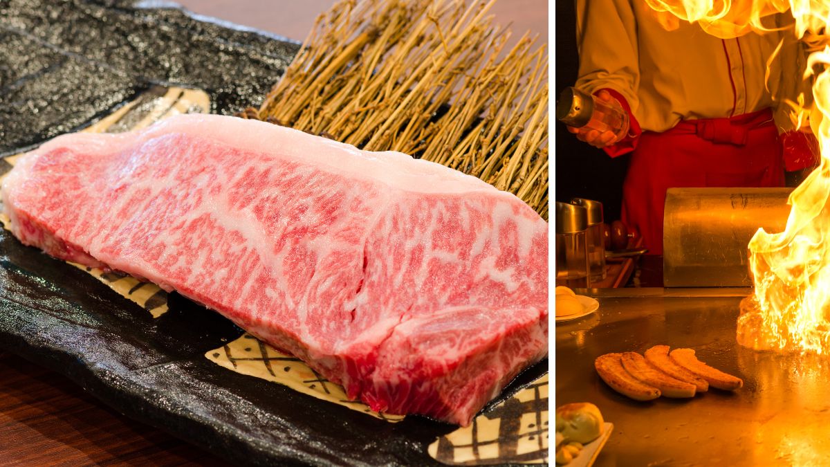 Exploring Kansai: ultimate itinerary