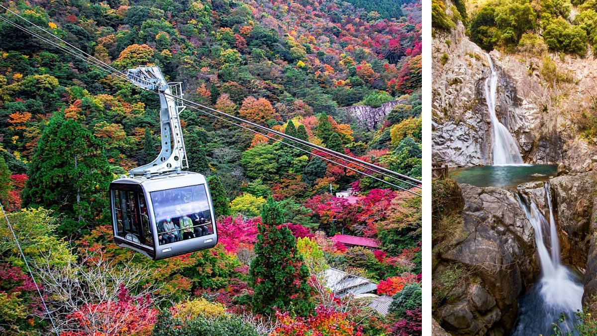 Exploring Kansai: ultimate itinerary