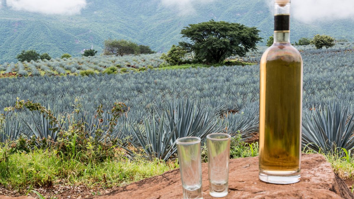 10 Facts About Mexico That Will Surprise You